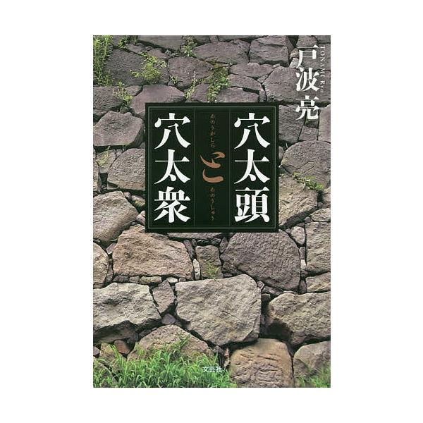 著:戸波亮出版社:文芸社発売日:2021年05月キーワード:穴太頭と穴太衆戸波亮 あのうがしらとあのうしゆう アノウガシラトアノウシユウ となみ りよう トナミ リヨウ