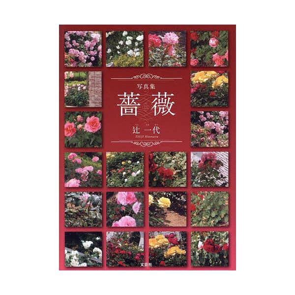 ※商品画像はイメージや仮デザインが含まれている場合があります。帯の有無など実際と異なる場合があります。著:辻一代出版社:文芸社発売日:2023年12月キーワード:薔薇写真集辻一代 ばらしやしんしゆう バラシヤシンシユウ つじ ひとなつ ツジ...