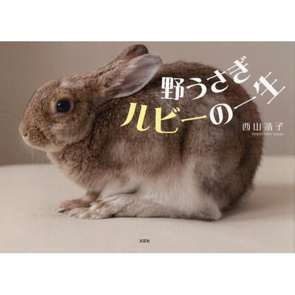 ※商品画像はイメージや仮デザインが含まれている場合があります。帯の有無など実際と異なる場合があります。出版社:文芸社発売日:2026年08月キーワード:野うさぎルビーの一生 えほん 絵本 プレゼント ギフト 誕生日 子供 クリスマス 子ども...
