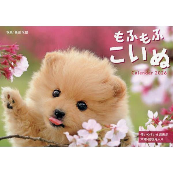 出版社:インプレス発売日:2025年09月キーワード:もふもふこいぬCalendar２０２６ もふもふこいぬかれんだー２０２６ モフモフコイヌカレンダー２０２６ もりたよねお モリタヨネオ