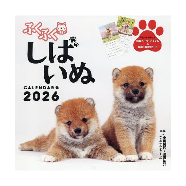 出版社:インプレス発売日:2025年09月キーワード:ふくふくしばいぬCALENDAR２０２６ ふくふくしばいぬかれんだー２０２６ フクフクシバイヌカレンダー２０２６ おがわあきよ ゆざわゆうすけ オガワアキヨ ユザワユウスケ