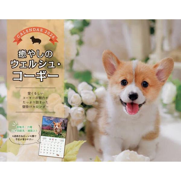 ※商品画像はイメージや仮デザインが含まれている場合があります。帯の有無など実際と異なる場合があります。出版社:インプレス発売日:2025年09月キーワード:カレンダー’２６癒やしのウェルシュ・ かれんだー２０２６いやしのうえるしゆこーぎー ...