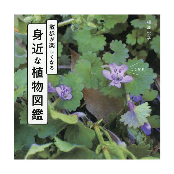 ※商品画像はイメージや仮デザインが含まれている場合があります。帯の有無など実際と異なる場合があります。著:相澤悦子出版社:マイルスタッフ発売日:2026年03月シリーズ名等:momo bookキーワード:散歩が楽しくなる身近な植物図鑑相澤悦...