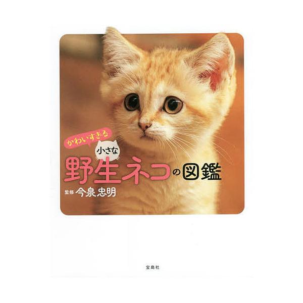 監修:今泉忠明出版社:宝島社発売日:2022年07月キーワード:かわいすぎる小さな野生ネコの図鑑今泉忠明 かわいすぎるちいさなやせいねこのずかん カワイスギルチイサナヤセイネコノズカン いまいずみ ただあき イマイズミ タダアキ