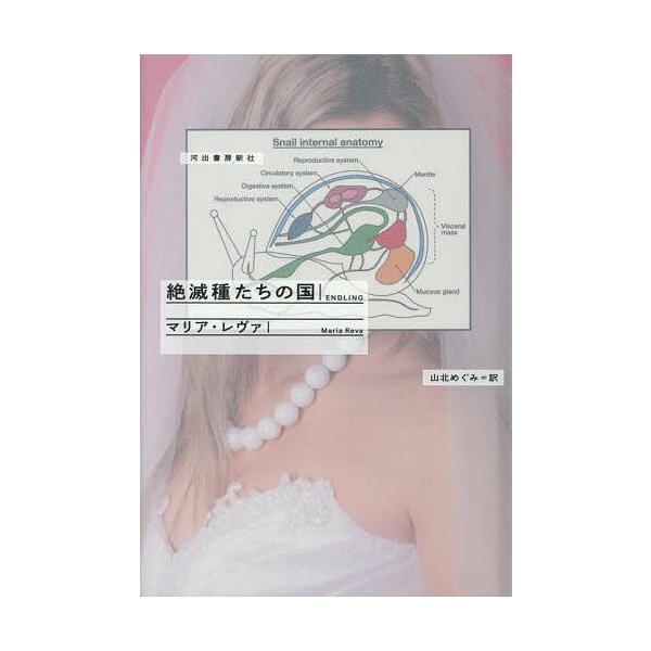 ※商品画像はイメージや仮デザインが含まれている場合があります。帯の有無など実際と異なる場合があります。著:マリア・レヴァ　訳:山北めぐみ出版社:河出書房新社発売日:2026年08月キーワード:絶滅種たちの国マリア・レヴァ山北めぐみ ぜつめつ...