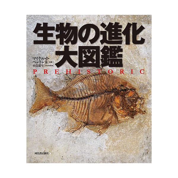 ※商品画像はイメージや仮デザインが含まれている場合があります。帯の有無など実際と異なる場合があります。他監修:マイケル・J・ベントン　ほか訳:小畠郁生日本語版総監修池田比佐子出版社:河出書房新社発売日:2010年10月キーワード:生物の進化...