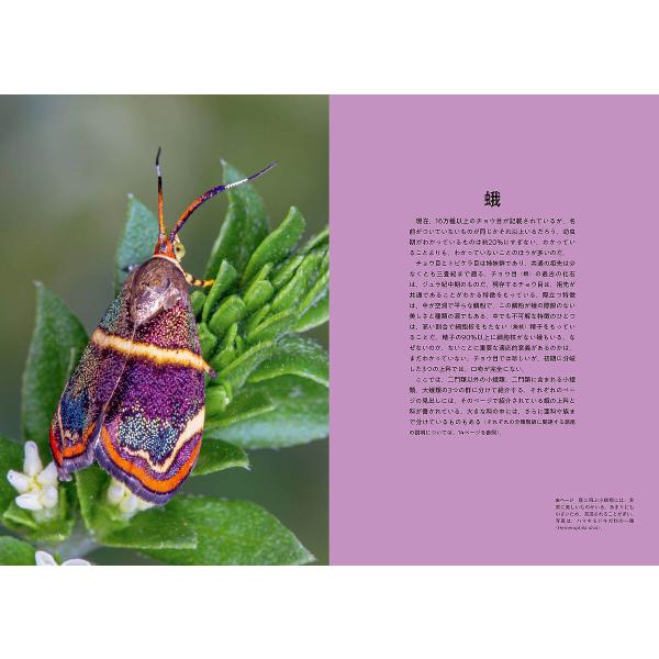 ※商品画像はイメージや仮デザインが含まれている場合があります。帯の有無など実際と異なる場合があります。著:デイヴィッド・L．ワグナー　日本語版監修:屋宜禎央　日本語版監修:千代田創真出版社:河出書房新社発売日:2025年09月キーワード:世...