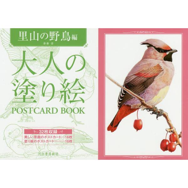 ※商品画像はイメージや仮デザインが含まれている場合があります。帯の有無など実際と異なる場合があります。著:齋藤壽出版社:河出書房新社発売日:2017年04月キーワード:大人の塗り絵POSTCARDBOOK里山の野鳥編齋藤壽 おとなのぬりえぽ...