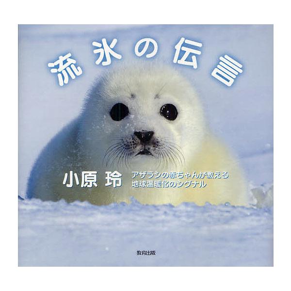※商品画像はイメージや仮デザインが含まれている場合があります。帯の有無など実際と異なる場合があります。著:小原玲出版社:教育出版発売日:2009年02月キーワード:流氷の伝言アザラシの赤ちゃんが教える地球温暖化のシグナル小原玲 りゆうひよう...