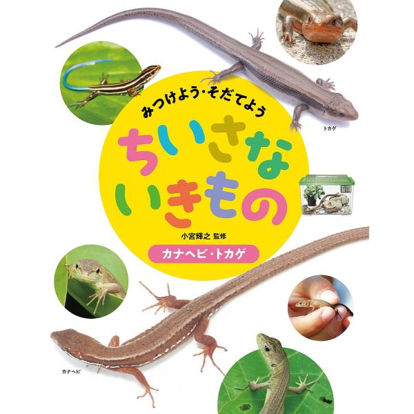 ※商品画像はイメージや仮デザインが含まれている場合があります。帯の有無など実際と異なる場合があります。監修:小宮輝之出版社:金の星社発売日:2025年02月巻数:3巻キーワード:みつけよう・そだてようちいさないきもの〔３〕小宮輝之 プレゼン...