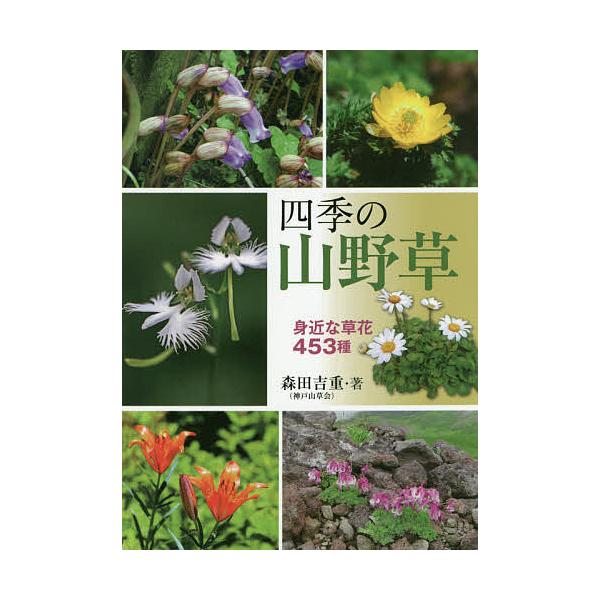 著:森田吉重出版社:神戸新聞総合出版センター発売日:2019年06月キーワード:四季の山野草身近な草花４５３種森田吉重 しきのさんやそうみじかなくさばなよんひやくごじゆう シキノサンヤソウミジカナクサバナヨンヒヤクゴジユウ もりた よししげ...
