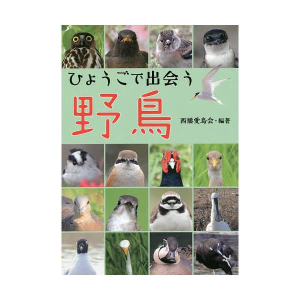 ※商品画像はイメージや仮デザインが含まれている場合があります。帯の有無など実際と異なる場合があります。編著:西播愛鳥会出版社:神戸新聞総合出版センター発売日:2019年09月キーワード:ひょうごで出会う野鳥西播愛鳥会 ひようごでであうやちよ...