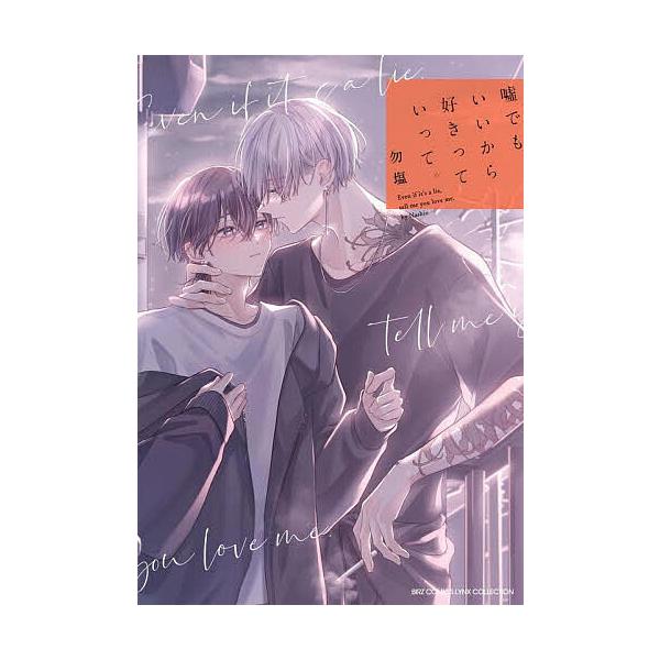 ※商品画像はイメージや仮デザインが含まれている場合があります。帯の有無など実際と異なる場合があります。出版社:幻冬舎コミックス発売日:2026年03月シリーズ名等:バーズコミックス リンクスコレクションキーワード:嘘でもいいから好きっていっ...