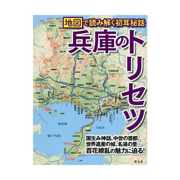 ※商品画像はイメージや仮デザインが含まれている場合があります。帯の有無など実際と異なる場合があります。出版社:昭文社発売日:2020年03月シリーズ名等:地図で読み解く初耳秘話キーワード:兵庫のトリセツ ひようごのとりせつちずでよみとくはつ...