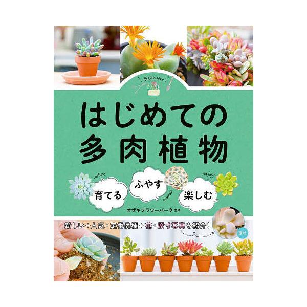 監修:オザキフラワーパーク出版社:新星出版社発売日:2023年07月キーワード:はじめての多肉植物育てる・ふやす・楽しむオザキフラワーパーク はじめてのたにくしよくぶつそだてるふやすたのしむ ハジメテノタニクシヨクブツソダテルフヤスタノシム...
