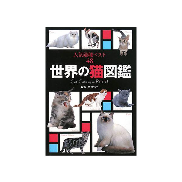 出版社:新星出版社発売日:2008年03月キーワード:世界の猫図鑑人気猫種ベスト４８ ペット せかいのねこずかんにんきびようしゆべすとよんじゆう セカイノネコズカンニンキビヨウシユベストヨンジユウ さとう やよい サトウ ヤヨイ