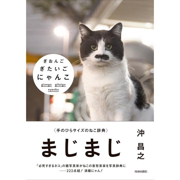 著:沖昌之出版社:青春出版社発売日:2022年07月キーワード:ぎおんごぎたいごにゃんこ沖昌之 ぎおんごぎたいごにやんこ ギオンゴギタイゴニヤンコ おき まさゆき オキ マサユキ