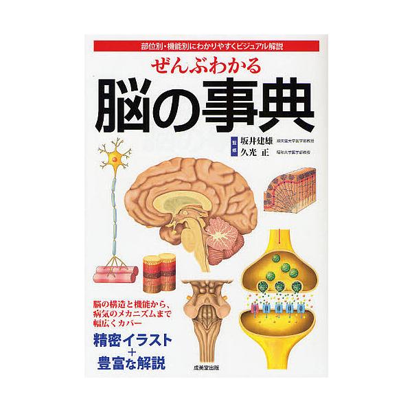 ※商品画像はイメージや仮デザインが含まれている場合があります。帯の有無など実際と異なる場合があります。監修:坂井建雄　監修:久光正出版社:成美堂出版発売日:2011年09月キーワード:ぜんぶわかる脳の事典部位別・機能別にわかりやすくビジュア...
