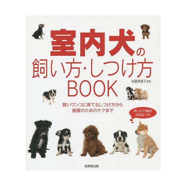 監修:佐藤真貴子出版社:成美堂出版発売日:2014年07月キーワード:室内犬の飼い方・しつけ方BOOK佐藤真貴子 ペット しつないけんのかいかたしつけかたぶつく シツナイケンノカイカタシツケカタブツク さとう まきこ サトウ マキコ