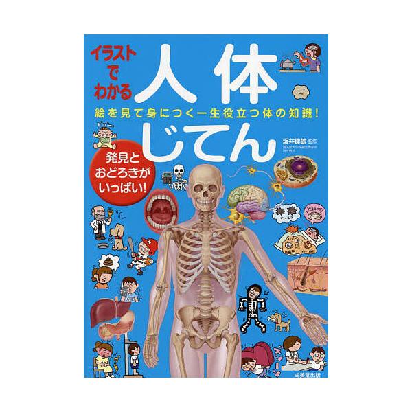 ※商品画像はイメージや仮デザインが含まれている場合があります。帯の有無など実際と異なる場合があります。監修:坂井建雄出版社:成美堂出版発売日:2023年04月キーワード:イラストでわかる人体じてん坂井建雄 プレゼント ギフト 誕生日 子供 ...