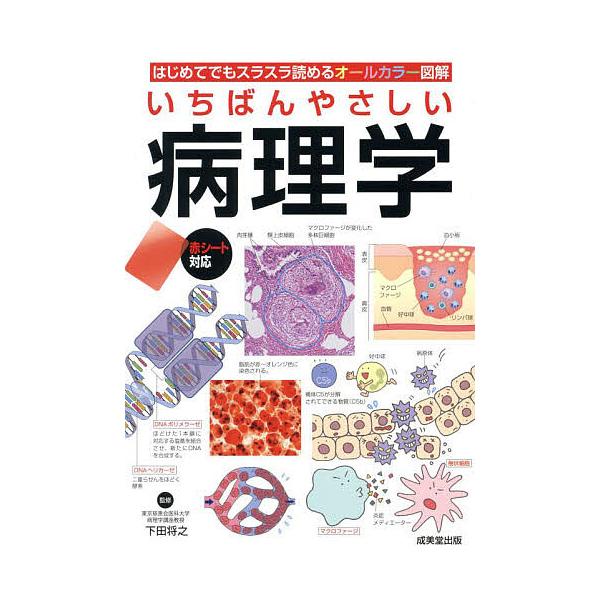 監修:下田将之出版社:成美堂出版発売日:2025年04月キーワード:いちばんやさしい病理学はじめてでもスラスラ読めるオールカラー図解下田将之 いちばんやさしいびようりがくはじめてでもすらすらよ イチバンヤサシイビヨウリガクハジメテデモスラス...