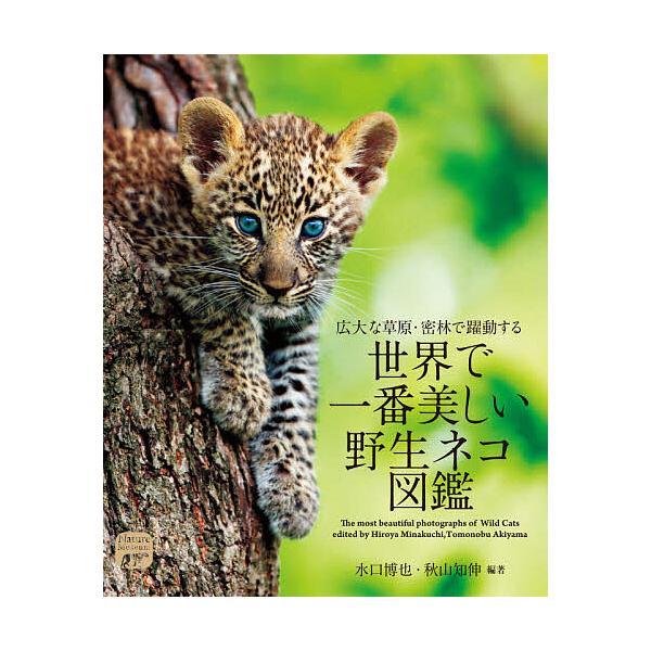※商品画像はイメージや仮デザインが含まれている場合があります。帯の有無など実際と異なる場合があります。編著:水口博也　編著:秋山知伸出版社:誠文堂新光社発売日:2021年01月シリーズ名等:ネイチャー・ミュージアムキーワード:広大な草原・密...