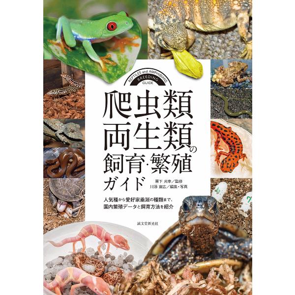 ※商品画像はイメージや仮デザインが含まれている場合があります。帯の有無など実際と異なる場合があります。監修:栗下光幸　編集:川添宣広出版社:誠文堂新光社発売日:2023年05月キーワード:爬虫類・両生類の飼育・繁殖ガイド人気種から愛好家垂涎...