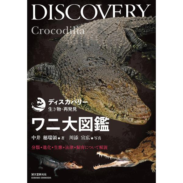 ※商品画像はイメージや仮デザインが含まれている場合があります。帯の有無など実際と異なる場合があります。著:中井穂瑞領　写真:川添宣広出版社:誠文堂新光社発売日:2023年04月シリーズ名等:ディスカバリー生き物・再発見キーワード:ワニ大図鑑...