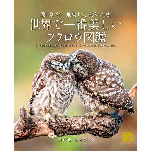 編著:水口博也　編著:先崎理之出版社:誠文堂新光社発売日:2023年07月シリーズ名等:ネイチャー・ミュージアムキーワード:世界で一番美しいフクロウ図鑑闇に息づき、飛翔する、謎多き生態水口博也先崎理之 せかいでいちばんうつくしいふくろうずか...
