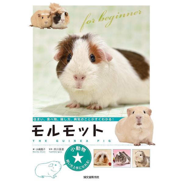 ※商品画像はイメージや仮デザインが含まれている場合があります。帯の有無など実際と異なる場合があります。著:大崎典子　写真:井川俊彦出版社:誠文堂新光社発売日:2016年08月シリーズ名等:小動物★飼い方上手になれる！キーワード:モルモット住...