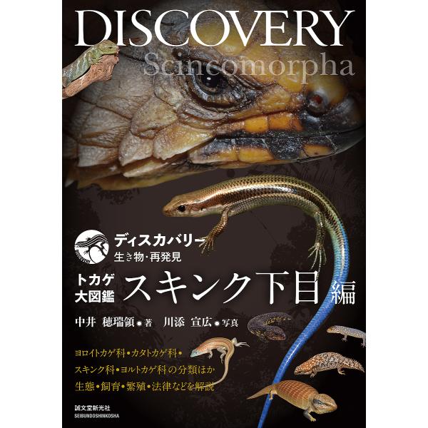 著:中井穂瑞領　編集:川添宣広出版社:誠文堂新光社発売日:2025年01月シリーズ名等:ディスカバリー生き物・再発見キーワード:トカゲ大図鑑スキンク下目編中井穂瑞領川添宣広 とかげだいずかんすきんく／かもくへんでいすかばりー トカゲダイズカ...