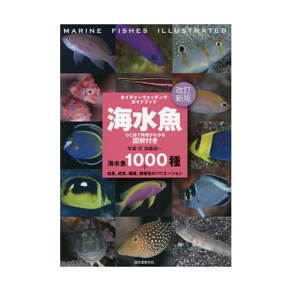 ※商品画像はイメージや仮デザインが含まれている場合があります。帯の有無など実際と異なる場合があります。写真:加藤昌一出版社:誠文堂新光社発売日:2014年08月シリーズ名等:ネイチャーウォッチングガイドブックキーワード:海水魚ひと目で特徴が...