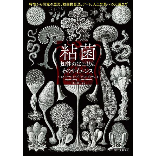※商品画像はイメージや仮デザインが含まれている場合があります。帯の有無など実際と異なる場合があります。著:ジャスパー・シャープ　著:ティム・グラバム　監修:川上新一出版社:誠文堂新光社発売日:2017年12月キーワード:粘菌知性のはじまりと...