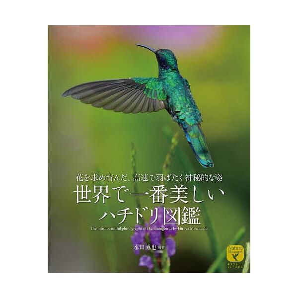 ※商品画像はイメージや仮デザインが含まれている場合があります。帯の有無など実際と異なる場合があります。編著:水口博也出版社:誠文堂新光社発売日:2025年05月シリーズ名等:ネイチャー・ミュージアムキーワード:世界で一番美しいハチドリ図鑑花...