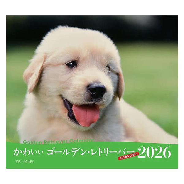 ※商品画像はイメージや仮デザインが含まれている場合があります。帯の有無など実際と異なる場合があります。出版社:誠文堂新光社発売日:2025年09月キーワード:２０２６ミニカレンダーかわいいゴールデン ２０２６みにかれんだーかわいいごーるでん...