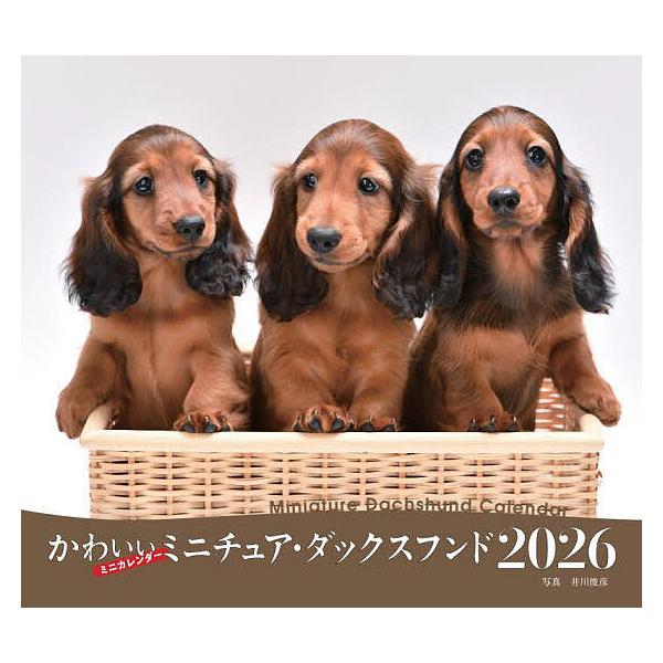 ※商品画像はイメージや仮デザインが含まれている場合があります。帯の有無など実際と異なる場合があります。出版社:誠文堂新光社発売日:2025年09月キーワード:２０２６ミニカレンダーかわいいミニチュア ２０２６みにかれんだーかわいいみにちゆあ...