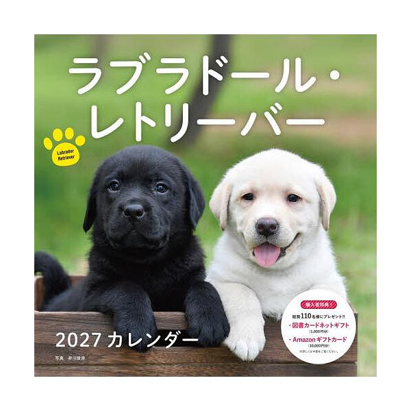 ※商品画像はイメージや仮デザインが含まれている場合があります。帯の有無など実際と異なる場合があります。出版社:誠文堂新光社発売日:2026年09月キーワード:’２７カレンダーラブラドール・レトリー ２０２７かれんだーらぶらどーるれとりーばー...