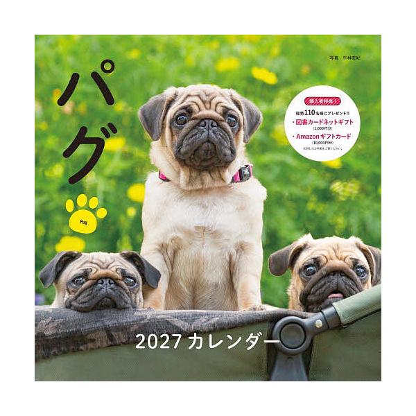 ※商品画像はイメージや仮デザインが含まれている場合があります。帯の有無など実際と異なる場合があります。出版社:誠文堂新光社発売日:2026年09月キーワード:’２７カレンダーパグ ２０２７かれんだーぱぐ ２０２７カレンダーパグ ひらばやしみ...