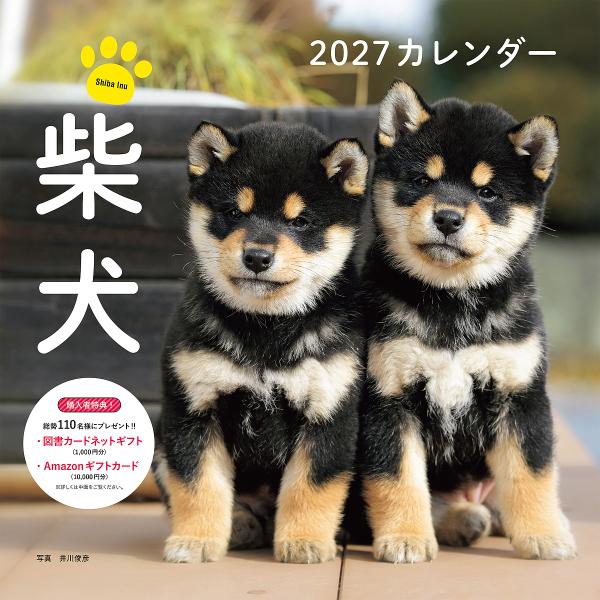 【発売日：2026年09月25日】※商品画像はイメージや仮デザインが含まれている場合があります。帯の有無など実際と異なる場合があります。写真:井川俊彦出版社:誠文堂新光社発売日:2026年09月25日シリーズ名等:誠文堂新光社カレンダーキー...