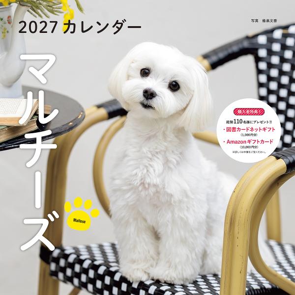 【発売日：2026年09月25日】※商品画像はイメージや仮デザインが含まれている場合があります。帯の有無など実際と異なる場合があります。写真:蜂巣文香出版社:誠文堂新光社発売日:2026年09月25日シリーズ名等:誠文堂新光社カレンダーキー...