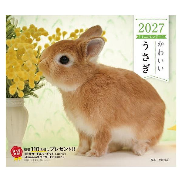 ※商品画像はイメージや仮デザインが含まれている場合があります。帯の有無など実際と異なる場合があります。出版社:誠文堂新光社発売日:2026年09月キーワード:’２７カレンダーかわいいうさぎ ２０２７かれんだーかわいいうさぎ ２０２７カレンダ...