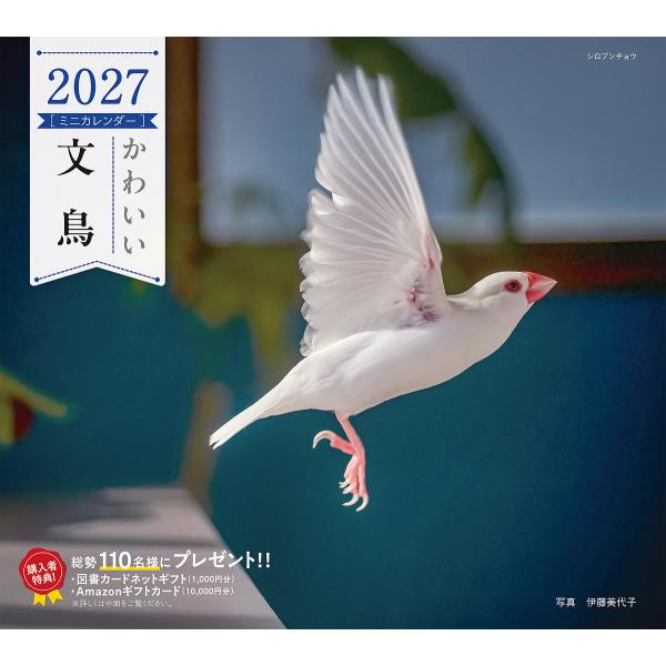 【発売日：2026年09月25日】※商品画像はイメージや仮デザインが含まれている場合があります。帯の有無など実際と異なる場合があります。写真:伊藤美代子出版社:誠文堂新光社発売日:2026年09月25日シリーズ名等:誠文堂新光社カレンダーキ...