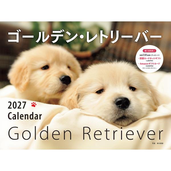 【発売日：2026年09月25日】※商品画像はイメージや仮デザインが含まれている場合があります。帯の有無など実際と異なる場合があります。写真:井川俊彦出版社:誠文堂新光社発売日:2026年09月25日シリーズ名等:誠文堂新光社カレンダーキー...
