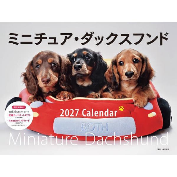 ※商品画像はイメージや仮デザインが含まれている場合があります。帯の有無など実際と異なる場合があります。出版社:誠文堂新光社発売日:2026年09月キーワード:’２７カレンダーワイド判ミニチュア・ダ ２０２７かれんだーわいどばんみにちゆあだつ...