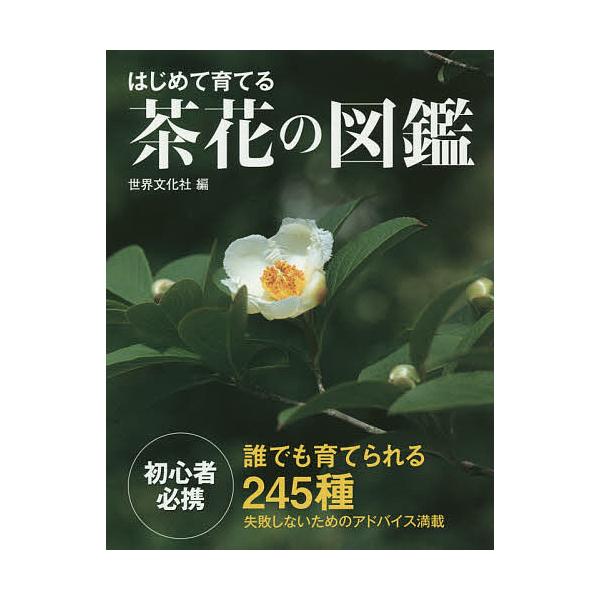※商品画像はイメージや仮デザインが含まれている場合があります。帯の有無など実際と異なる場合があります。編:岡部誠花木指導木崎信男草花指導木原浩植物写真世界文化社出版社:世界文化社発売日:2014年09月キーワード:はじめて育てる茶花の図鑑誰...