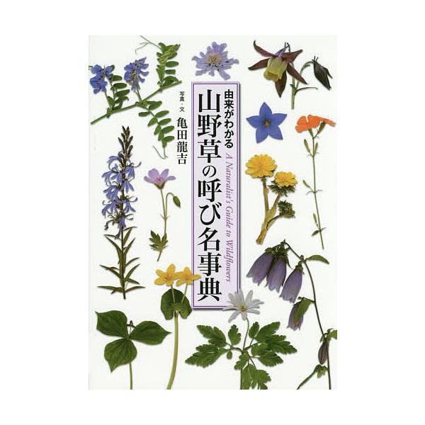 写真:亀田龍吉出版社:世界文化社発売日:2015年04月キーワード:山野草の呼び名事典由来がわかる亀田龍吉 さんやそうのよびなじてんゆらいがわかる サンヤソウノヨビナジテンユライガワカル かめだ りゆうきち カメダ リユウキチ