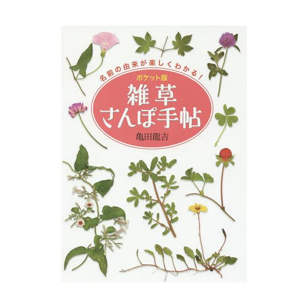 ※商品画像はイメージや仮デザインが含まれている場合があります。帯の有無など実際と異なる場合があります。写真:亀田龍吉出版社:世界文化社発売日:2017年02月キーワード:雑草さんぽ手帖ポケット版亀田龍吉 ざつそうさんぽてちようざつそうのよび...