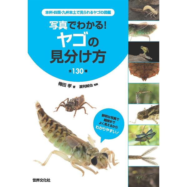 ※商品画像はイメージや仮デザインが含まれている場合があります。帯の有無など実際と異なる場合があります。著:梅田孝　写真:・写真渡利純也出版社:世界文化ブックス発売日:2023年04月キーワード:写真でわかる！ヤゴの見分け方全１３０種本州・四...