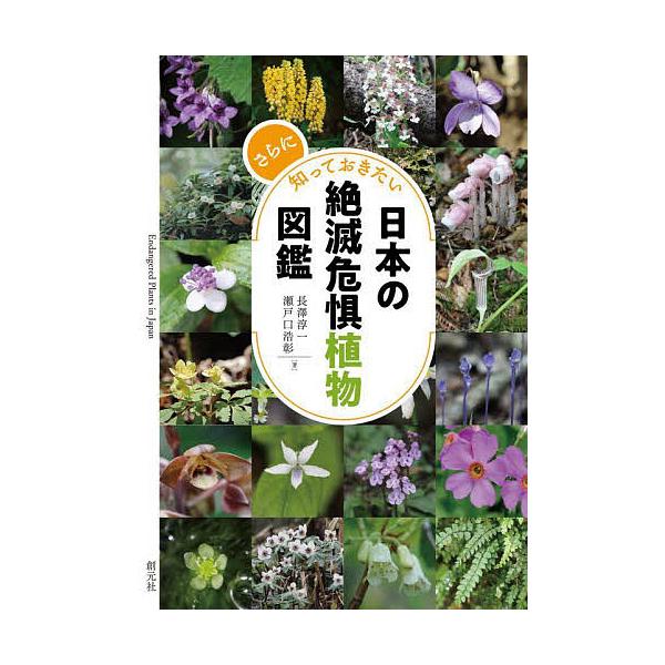 著:長澤淳一　著:瀬戸口浩彰出版社:創元社発売日:2022年09月キーワード:さらに知っておきたい日本の絶滅危惧植物図鑑長澤淳一瀬戸口浩彰 さらにしつておきたいにほんのぜつめつきぐ サラニシツテオキタイニホンノゼツメツキグ ながさわ じゆん...