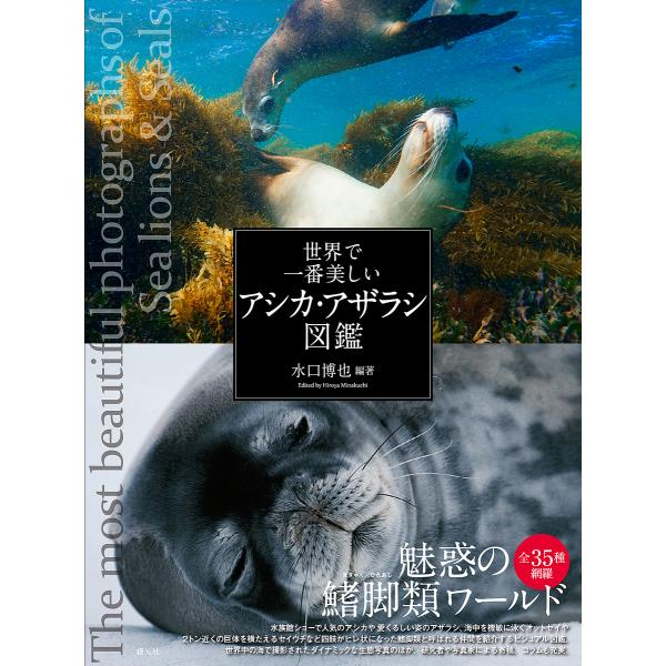 編著:水口博也出版社:創元社発売日:2021年10月キーワード:世界で一番美しいアシカ・アザラシ図鑑水口博也 せかいでいちばんうつくしいあしかあざらしずかん セカイデイチバンウツクシイアシカアザラシズカン みなくち ひろや ミナクチ ヒロヤ